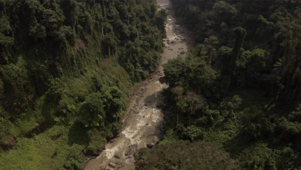 Discovering the Majestic Ekom Nkam Waterfalls in Cameroon: